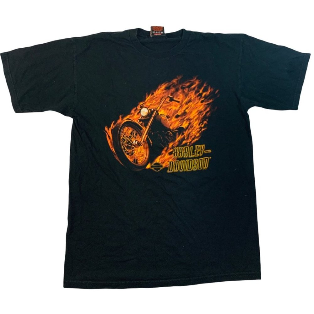 Harley Davidson Flaming Bike Smoky Mountain Maryville… - Gem